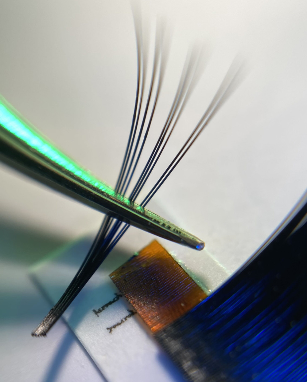 Easy Fan Lashes deLuxe